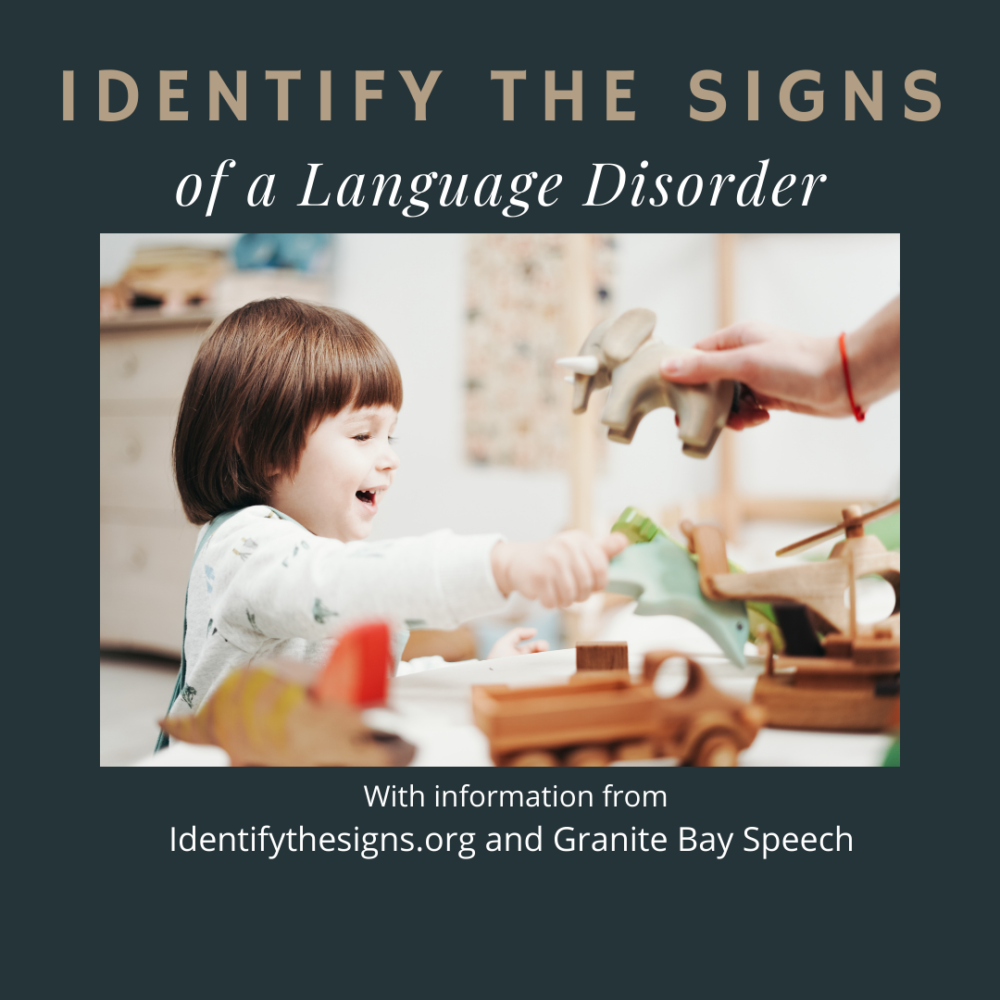Identify The Signs Of A Language Disorder Granite Bay Speech