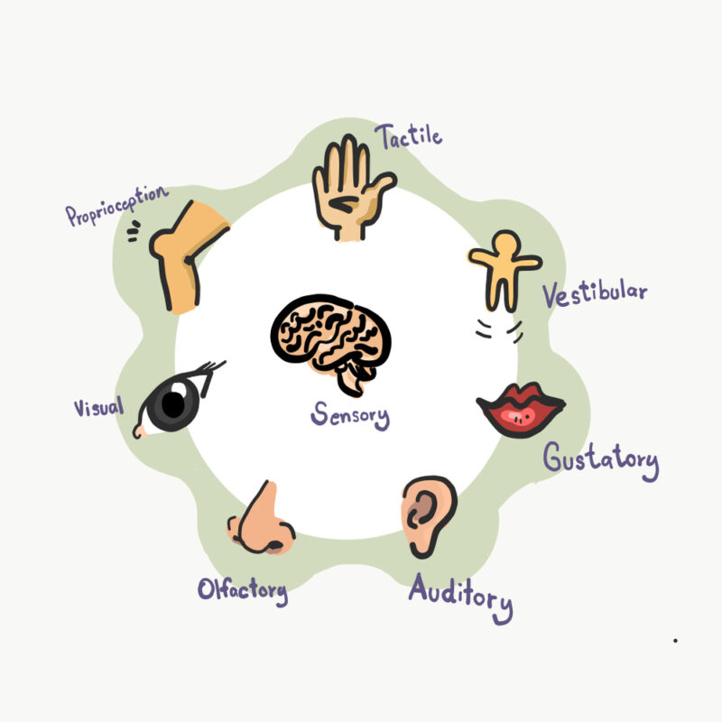 Sensory Integration And Speech Therapy Granite Bay Speech Sensory Integration And Speech Therapy Granite Bay Speech