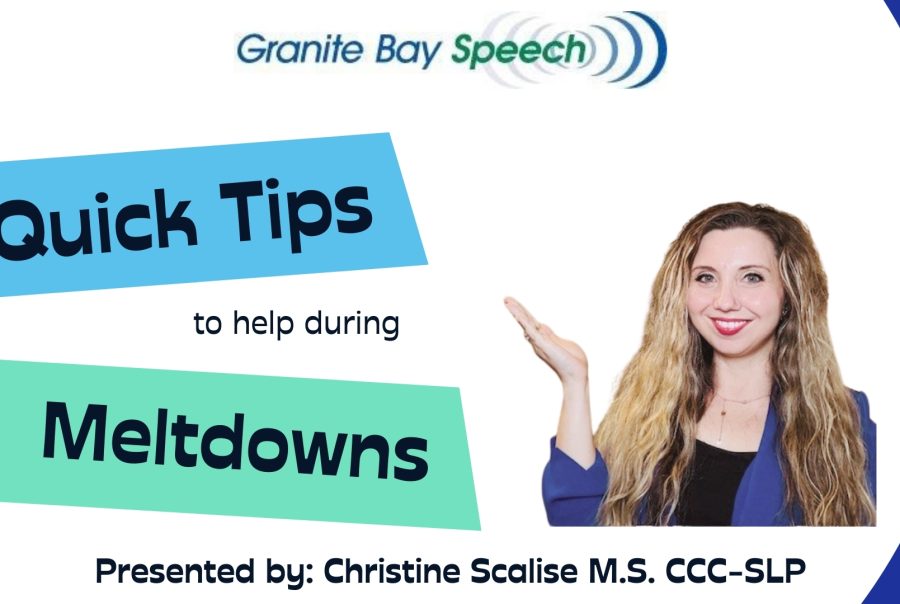 Granite Bay Speech | Roseville, CA | 916-797-3307